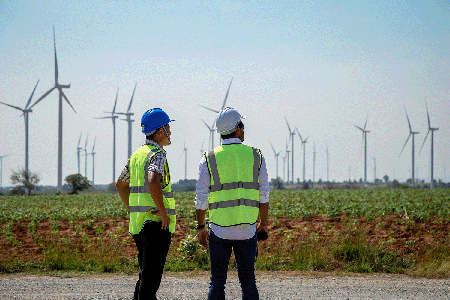 IEMA Pathways to Net Zero | HSS Training