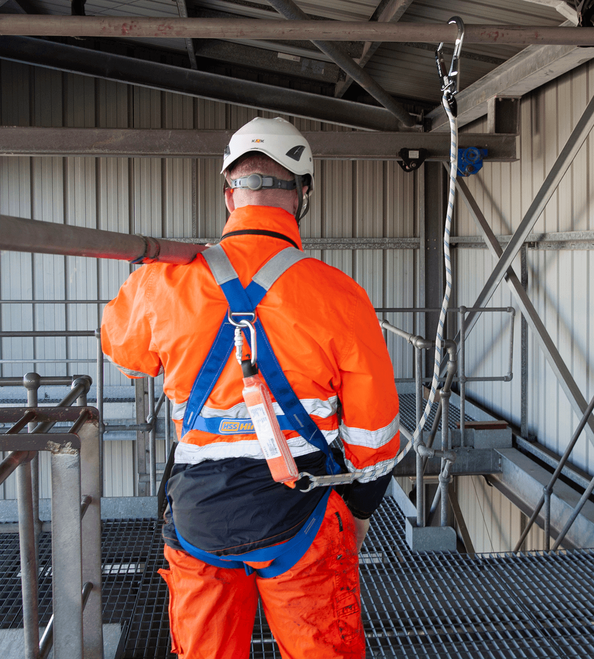 Scaffold Harness at June Blackwell blog